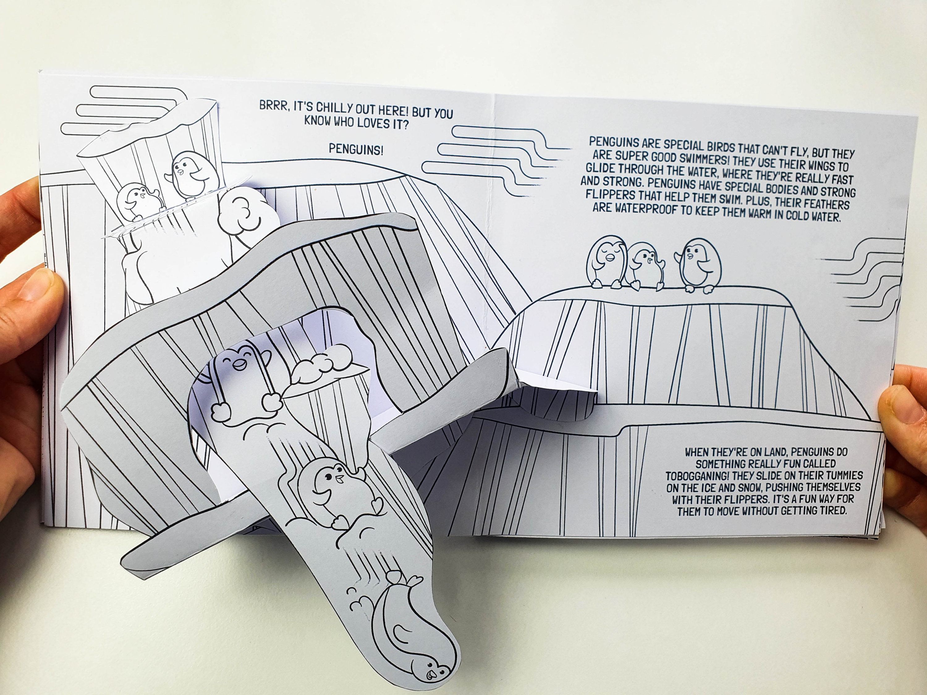 Birds DIY Coloring Pop-up Book Kit for Children, Educational Paper ...