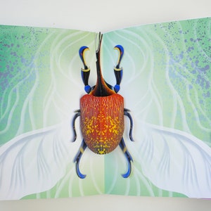 Insects DIY Pop-up Book: Printable Paper Craft Kit (digital Download ...