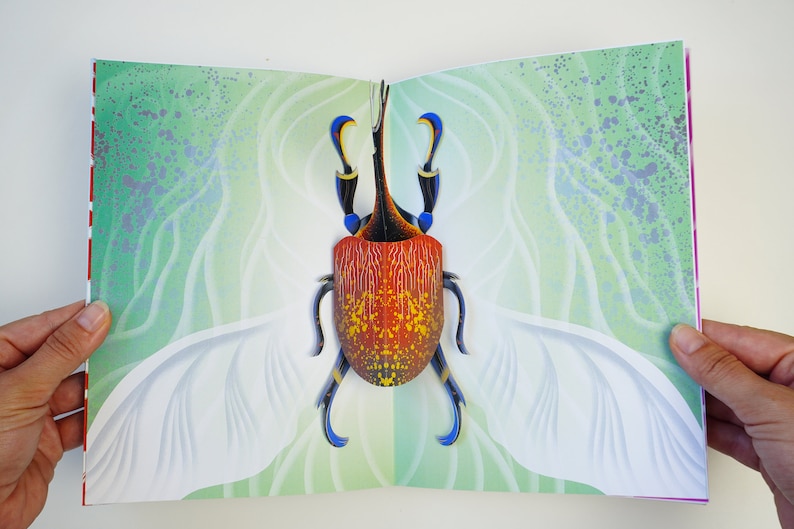 Insects DIY Pop-up Book, Printable Paper Craft, Digital Download - Etsy