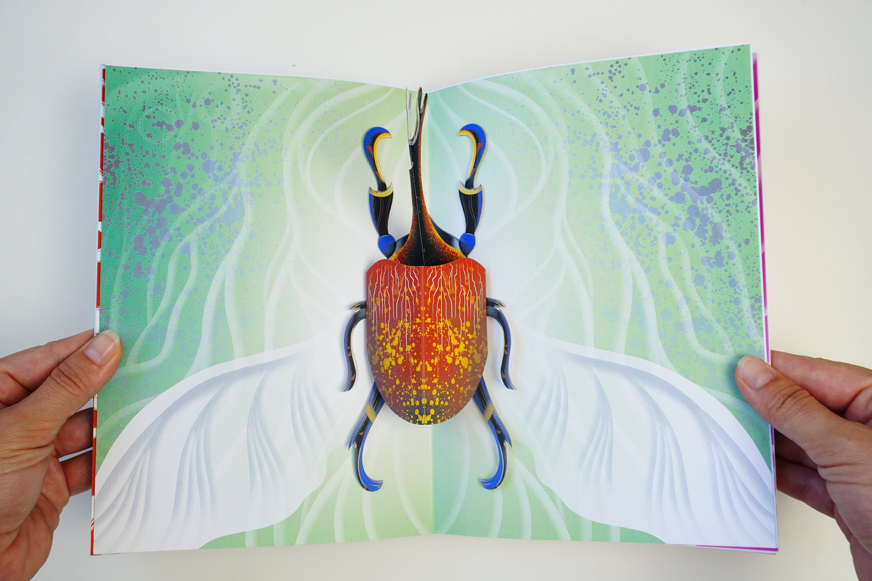 Insects DIY Pop-up Book: Printable Paper Craft Kit (digital Download ...