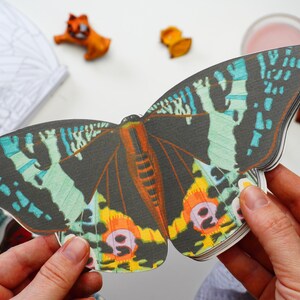 Butterfly Accordion Book: Vintage Illustration Papercraft (DIY Download ...