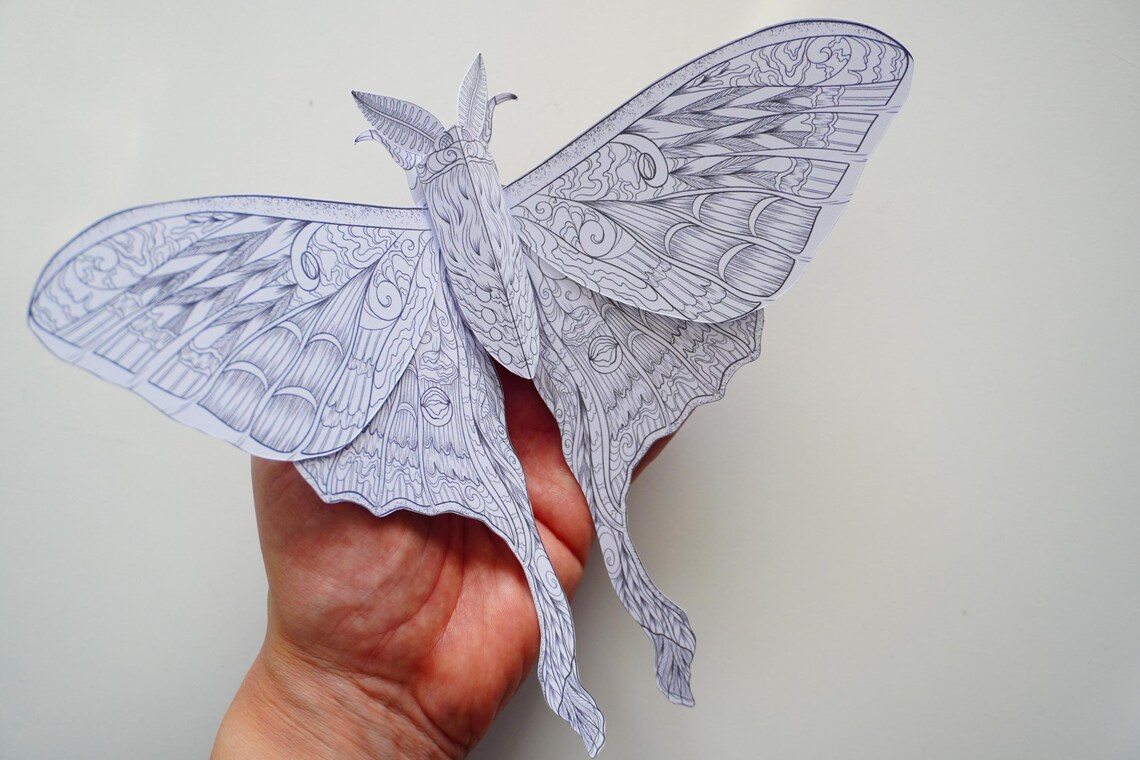 Coloring Luna Moth Paper Craft: DIY Printable Template (digital ...