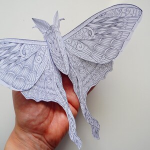 Coloring Luna Moth Paper Craft: DIY Printable Template (digital ...
