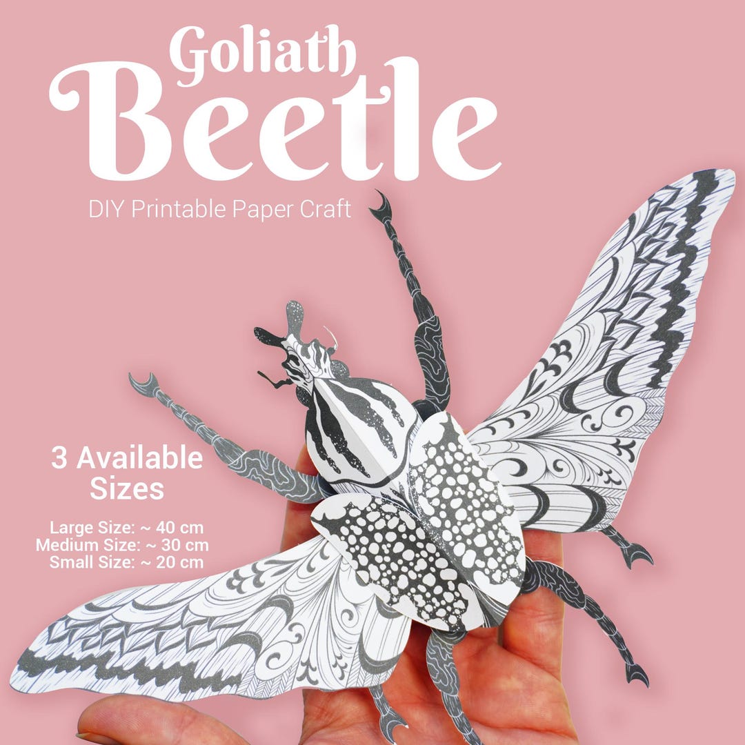 3D Goliath Beetle Paper Craft: DIY Printable Template (digital Download ...