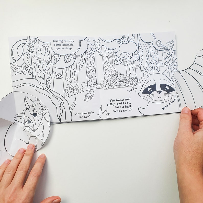 Lift the Flap DIY Coloring Book for Young Children, Forest Book ...