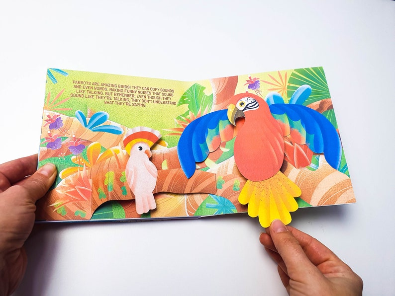Birds Pop up Book Kit for Children, Educational DIY Paper Craft ...
