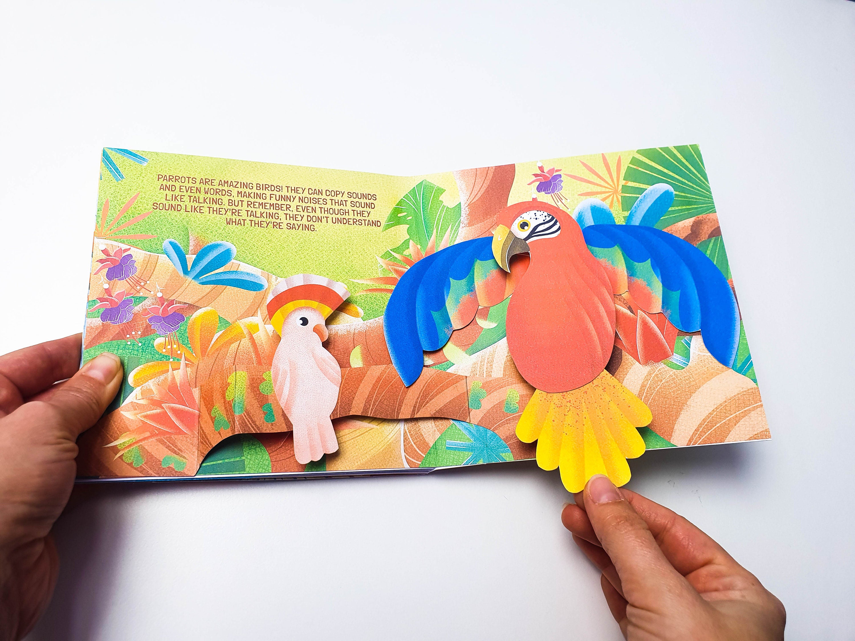 Birds Pop up Book Kit for Children, Educational DIY Paper Craft ...
