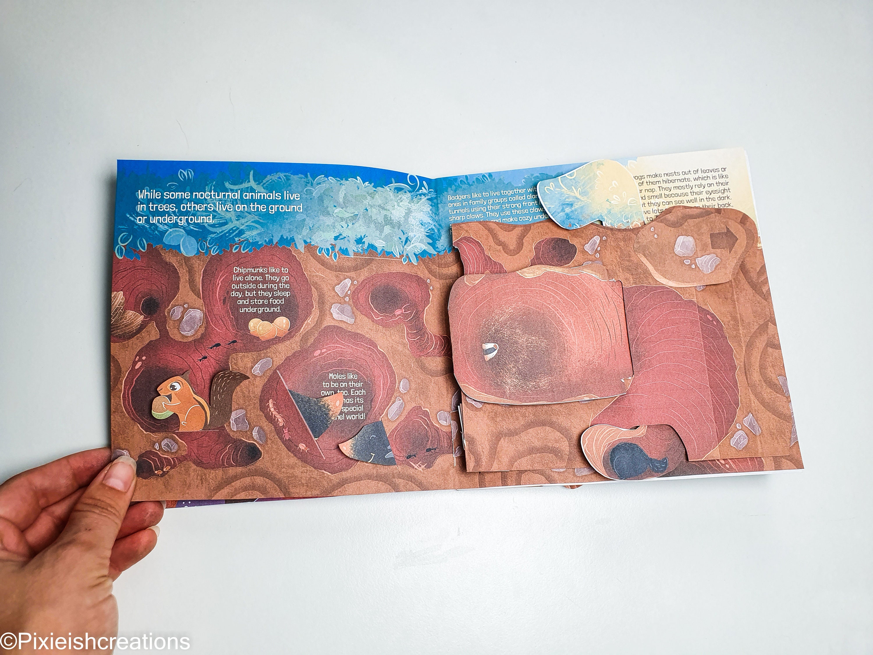 Animals Pop-up Book for Kids, Family Craft Activity, Paper Craft to ...