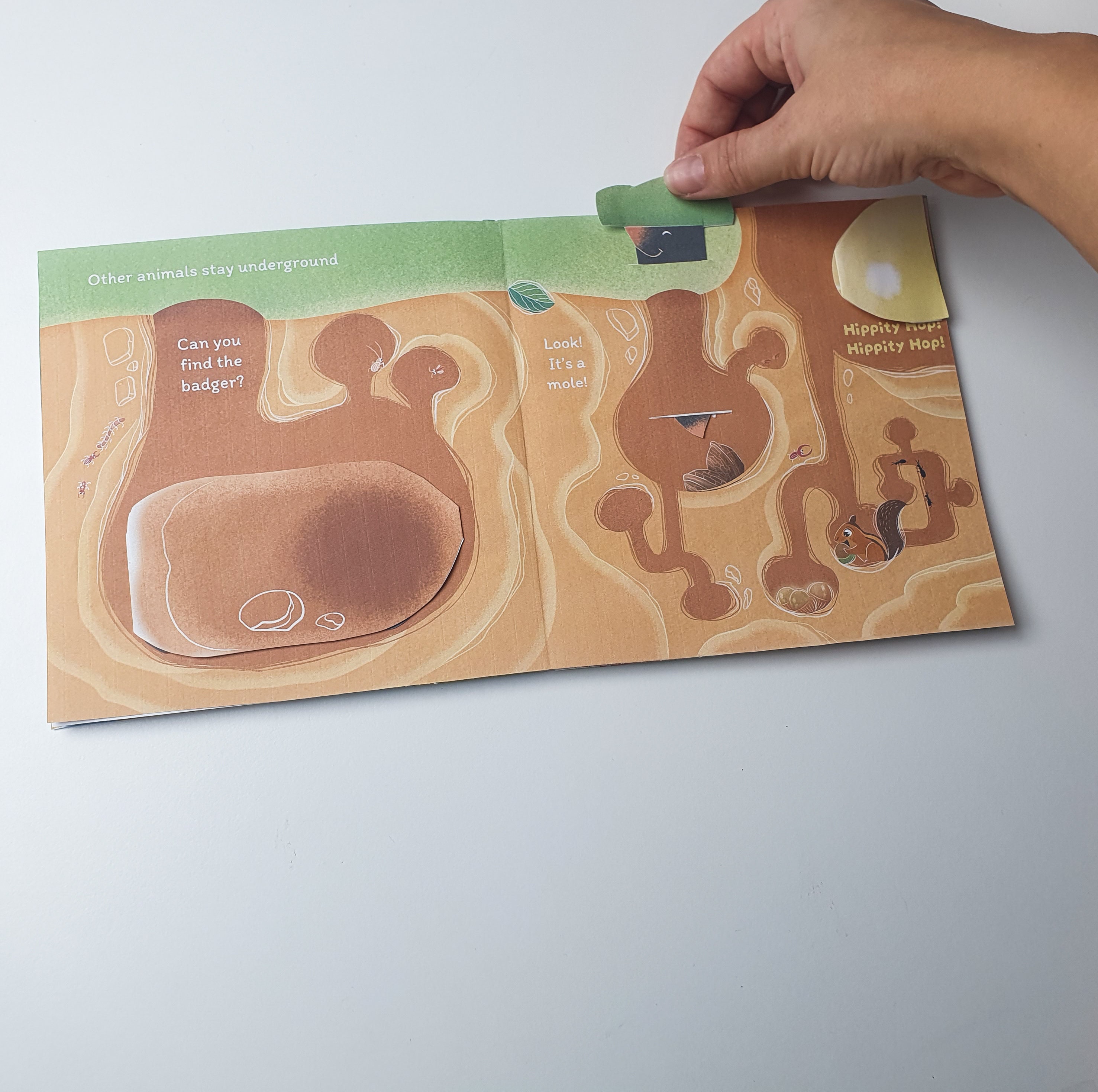 Easy DIY Lift the Flap Book for Young Children, DIY Toddler Book ...