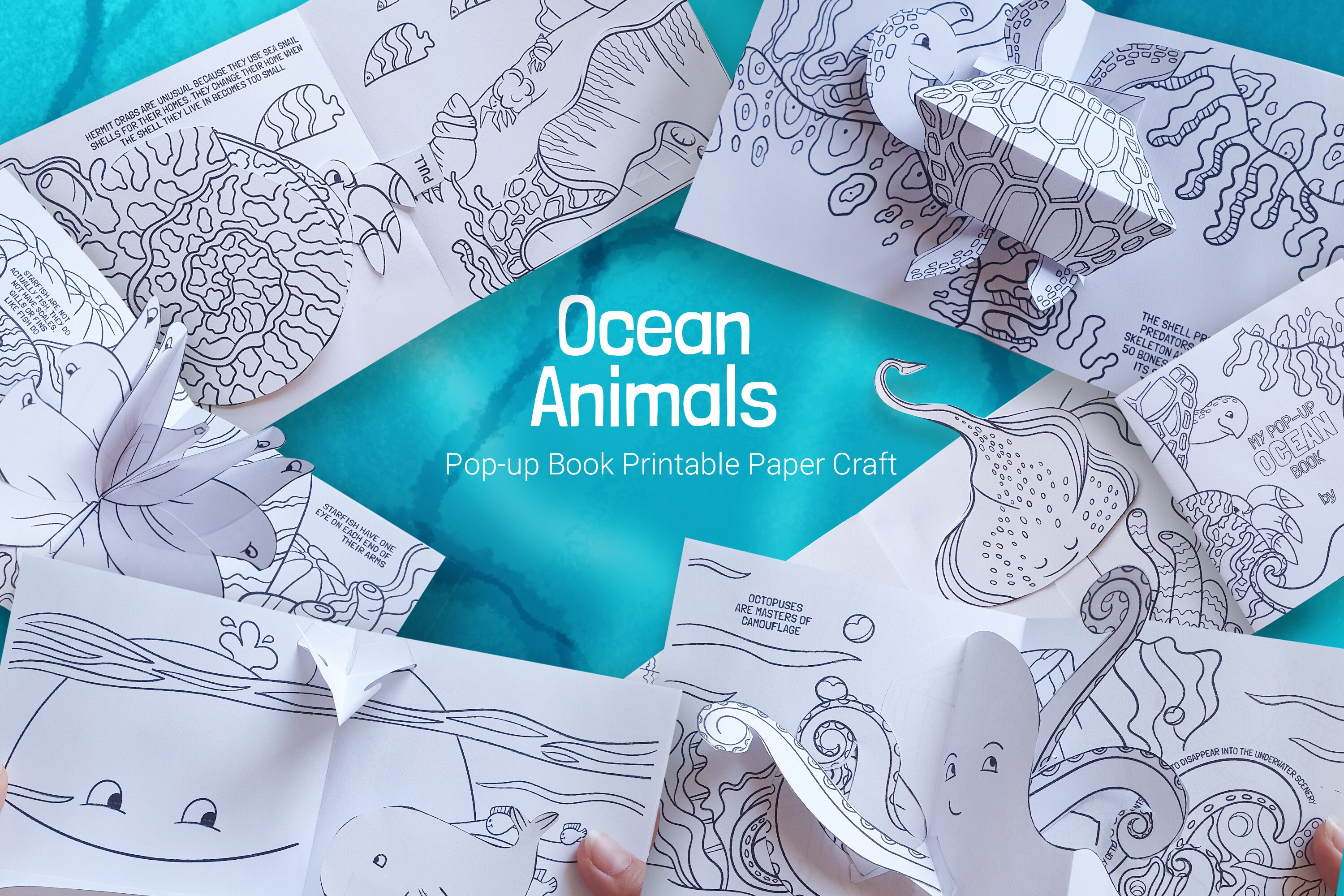 Ocean Animals Coloring Pop up Book Kit for Kids Origami Cut - Etsy