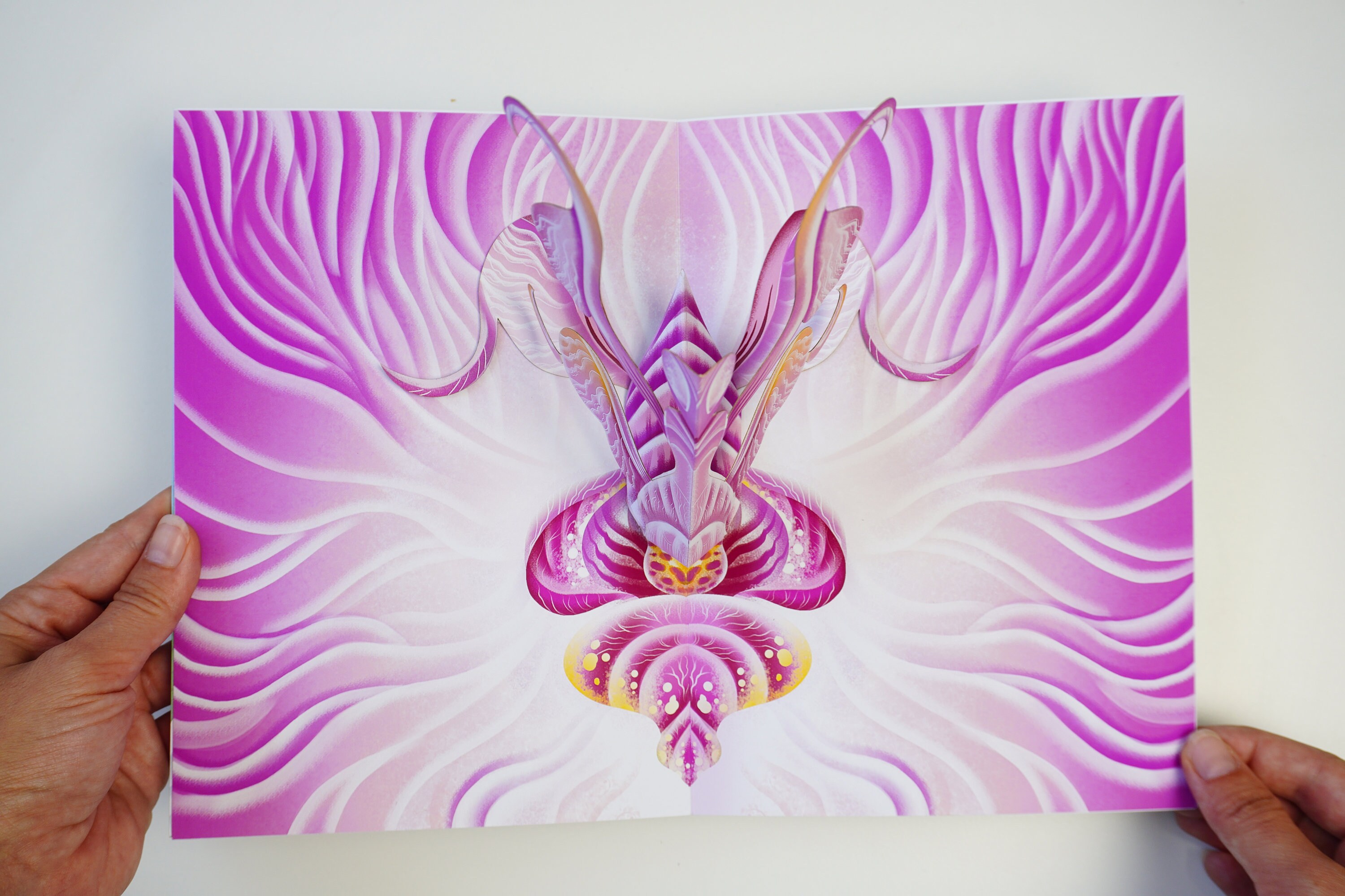 Insects DIY Pop-up Book, Printable Paper Craft, Digital Download - Etsy