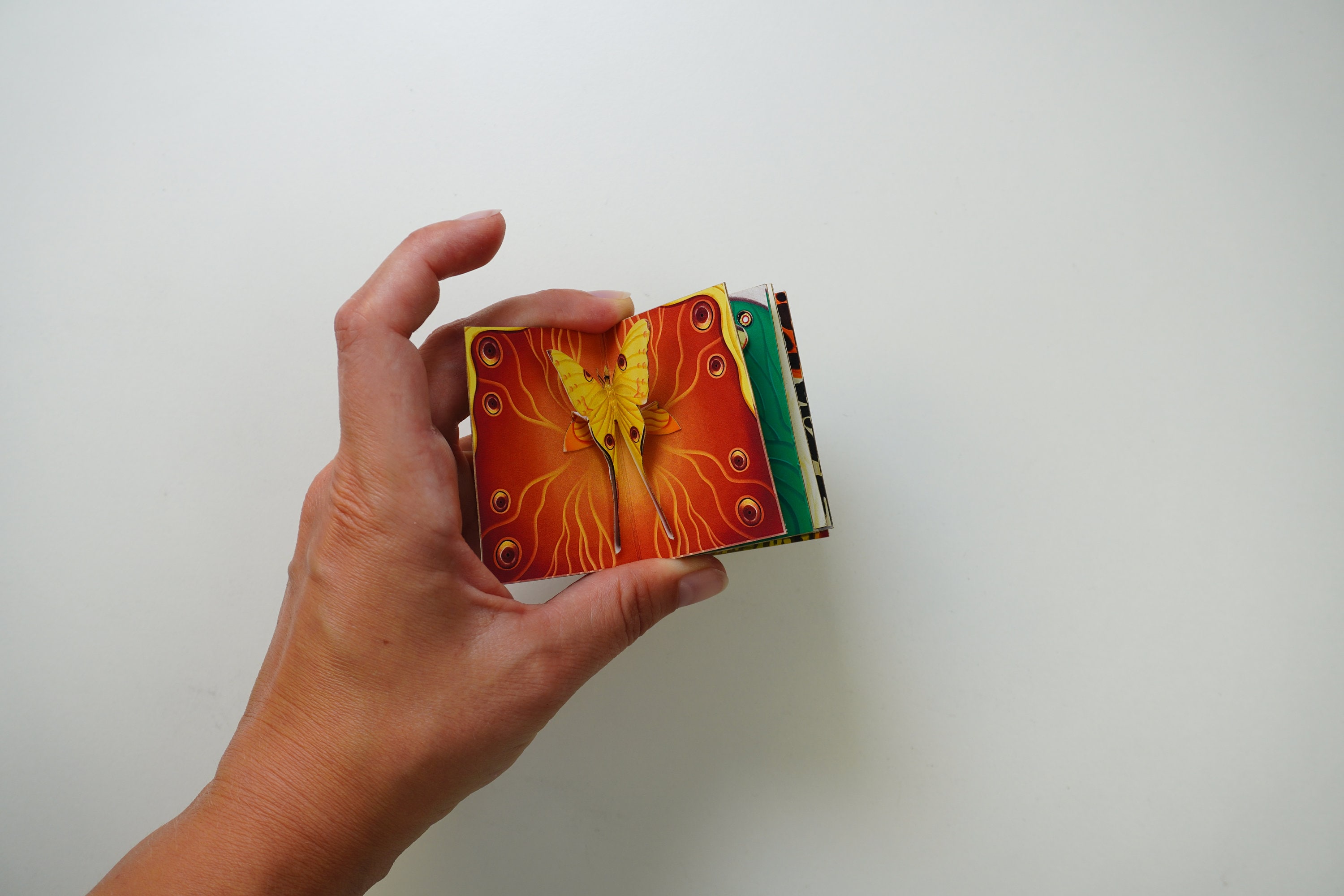 Moths Miniature Pop-up Book, Detailed Paper Craft for Adults, Make Your ...