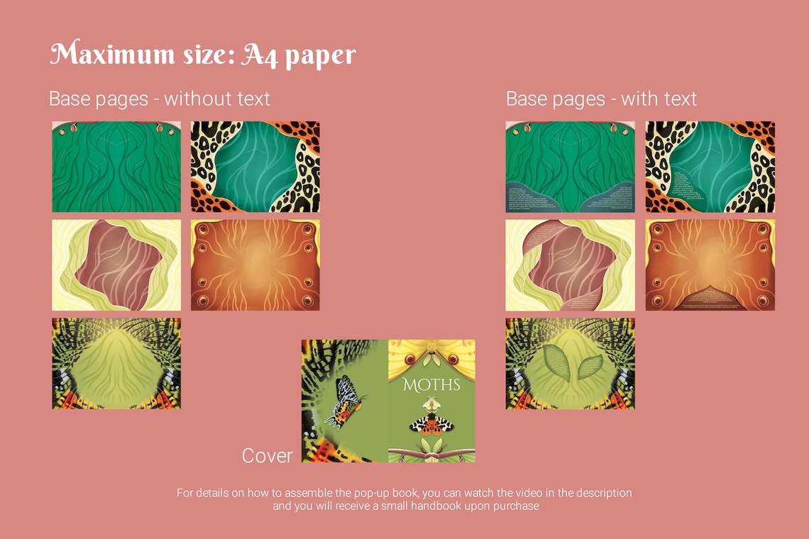 Moths DIY Pop up Book Creation Kit for Adults, DIY Pop-up Book Project ...
