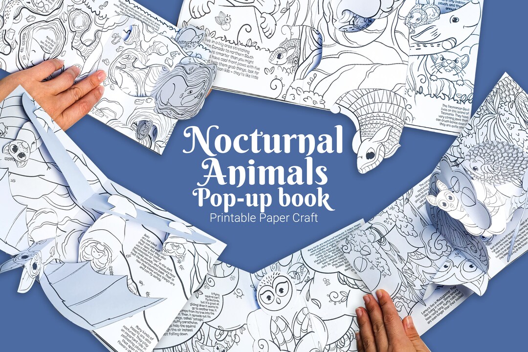 Night Animals Coloring Pop-up Book Creation Kit, Fun Coloring Kids ...
