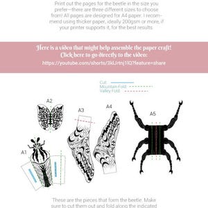 3D Goliath Beetle Paper Craft: DIY Printable Template (digital Download ...