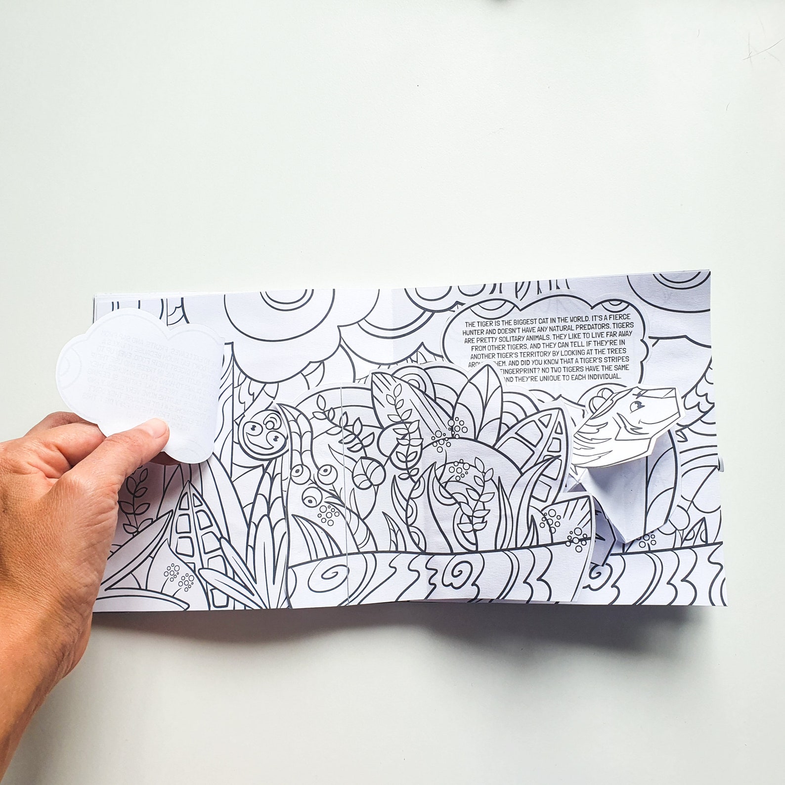 Jungle Animals Pop-up Book, Coloring Papercraft for Kids, Diy Printable ...