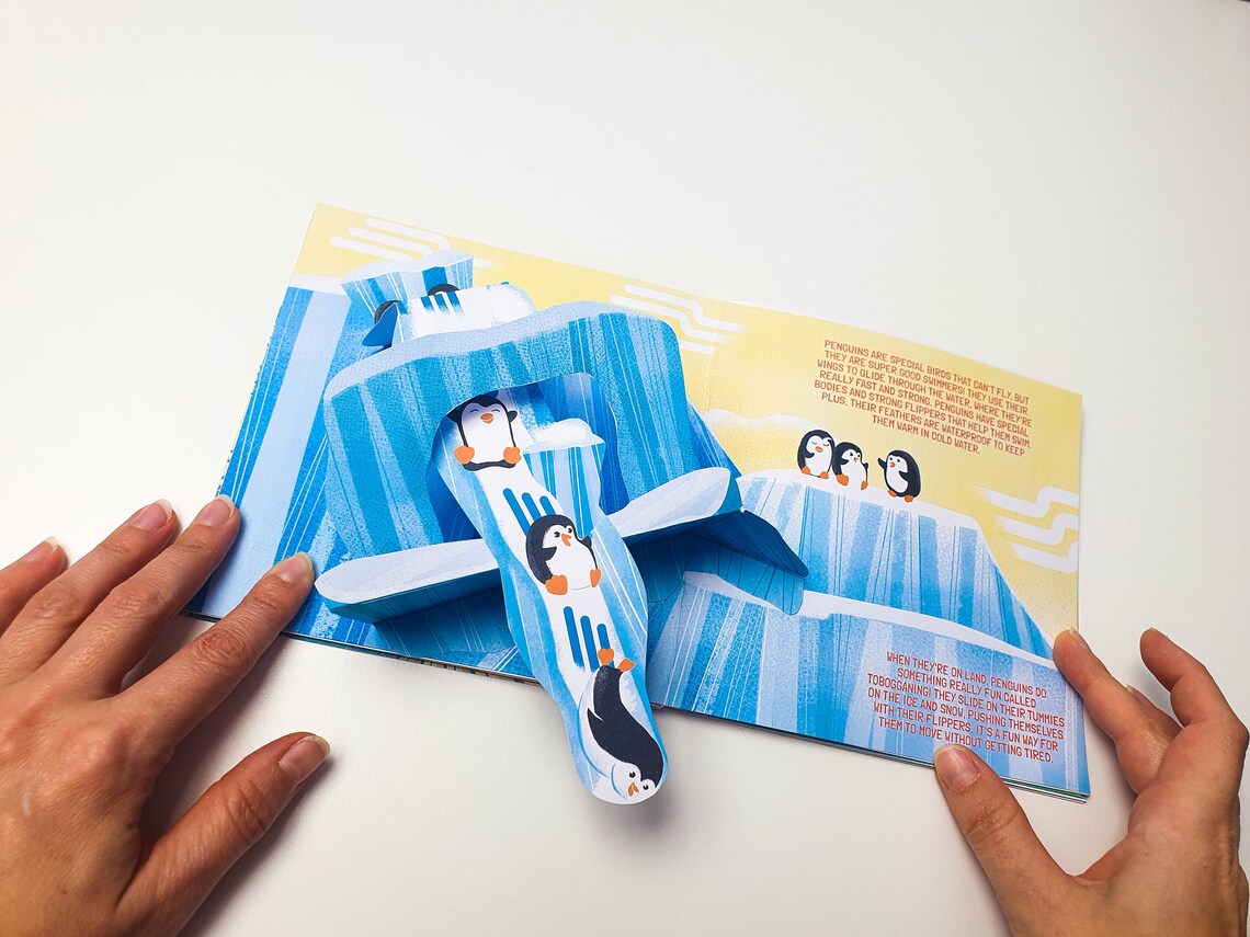 Birds Pop up Book Kit for Children, Educational DIY Paper Craft ...