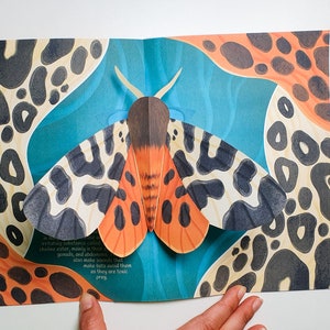 Moths DIY Pop up Book Creation Kit for Adults, DIY Pop-up Book Project ...