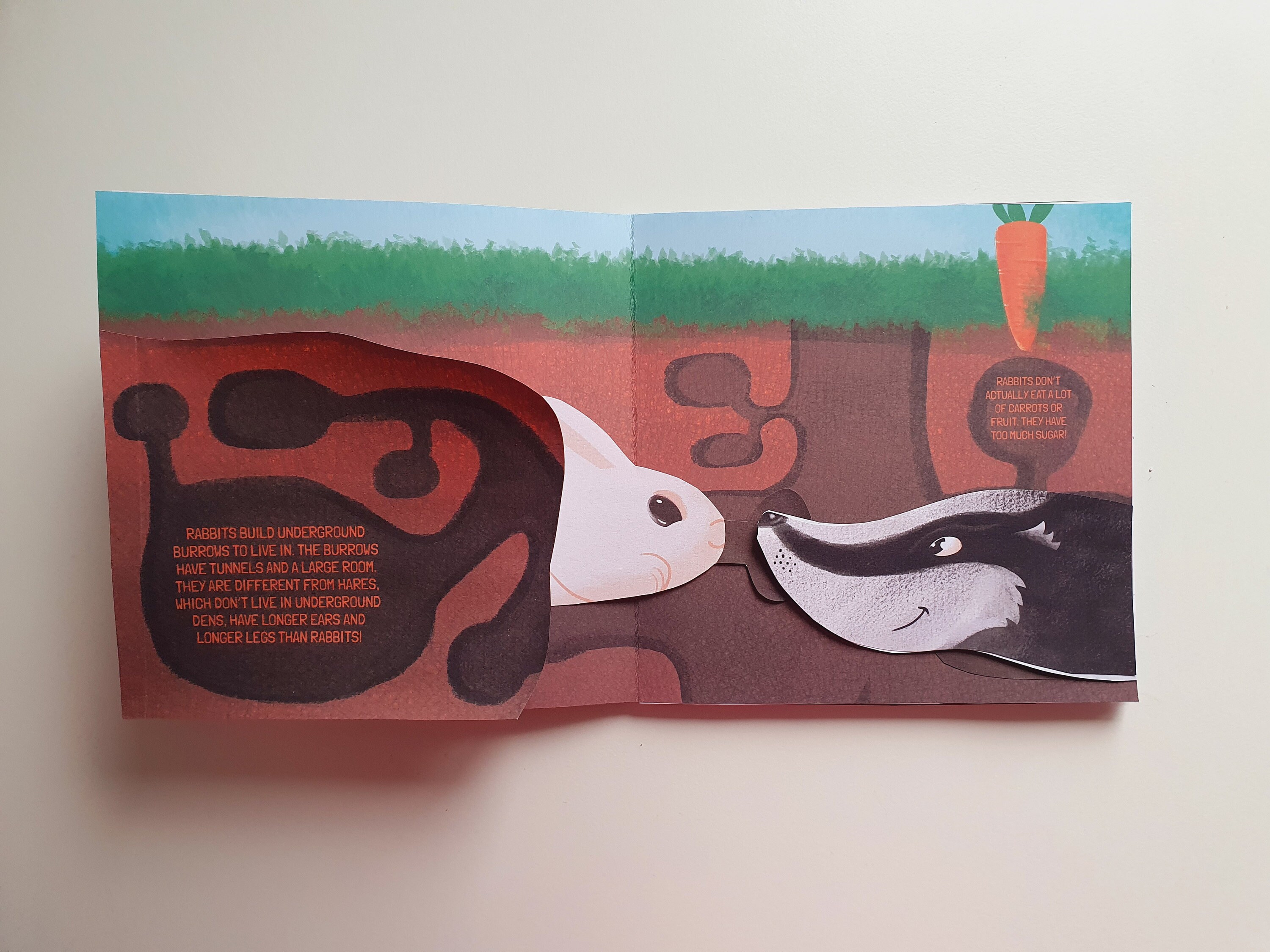 Forest Animals Diy Interactive Book for Kids, Pop-up Book Papercraft ...