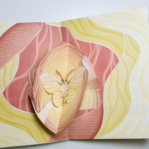 Moths DIY Pop up Book Creation Kit for Adults, DIY Pop-up Book Project ...