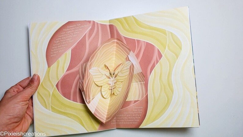 Moths DIY Pop up Book Creation Kit for Adults, DIY Pop-up Book Project ...
