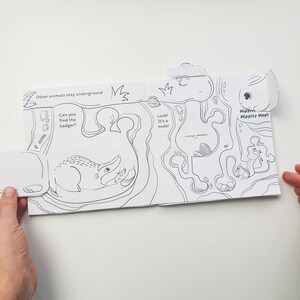 Lift the Flap DIY Coloring Book for Young Children, Forest Book ...