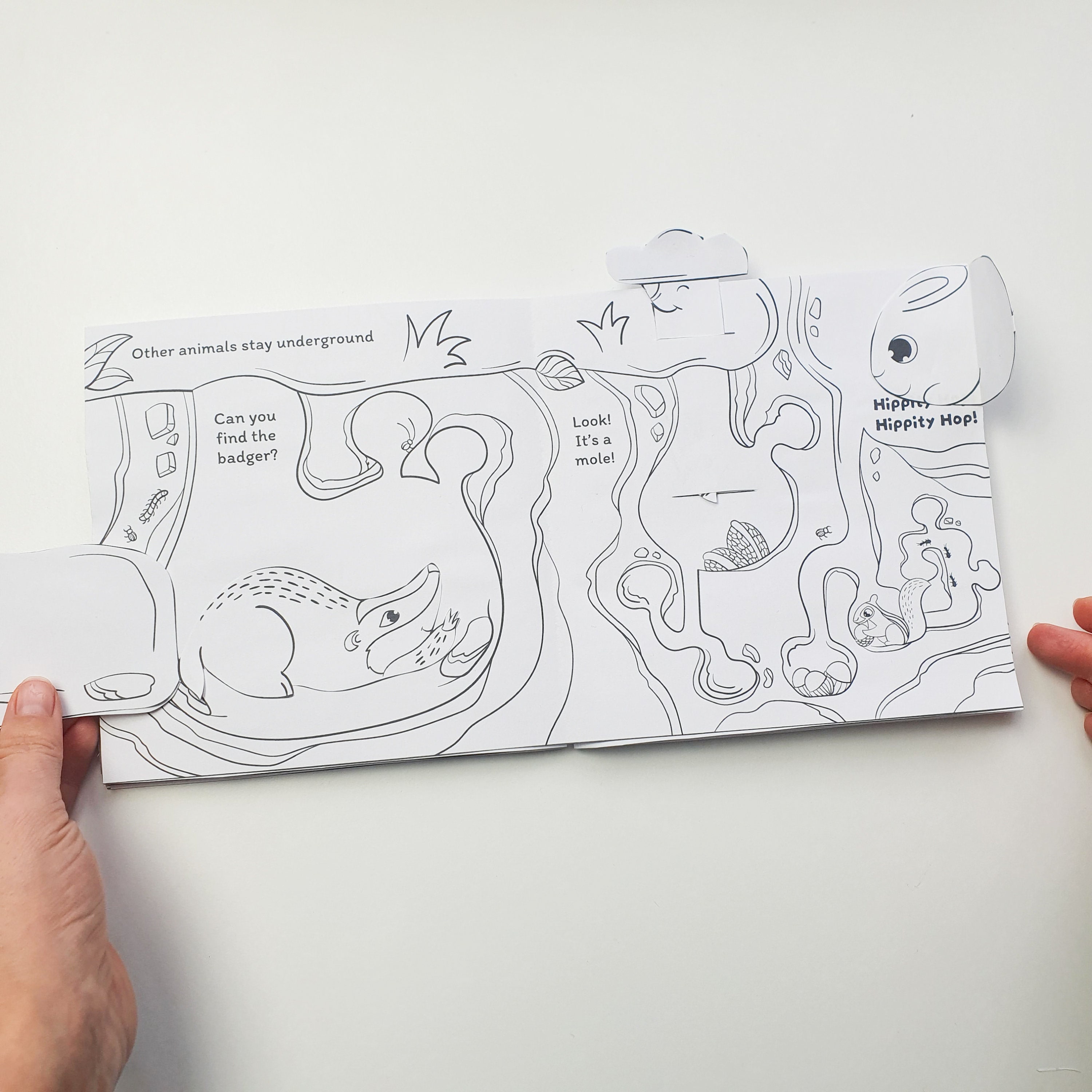 Lift the Flap DIY Coloring Book for Young Children, Forest Book ...