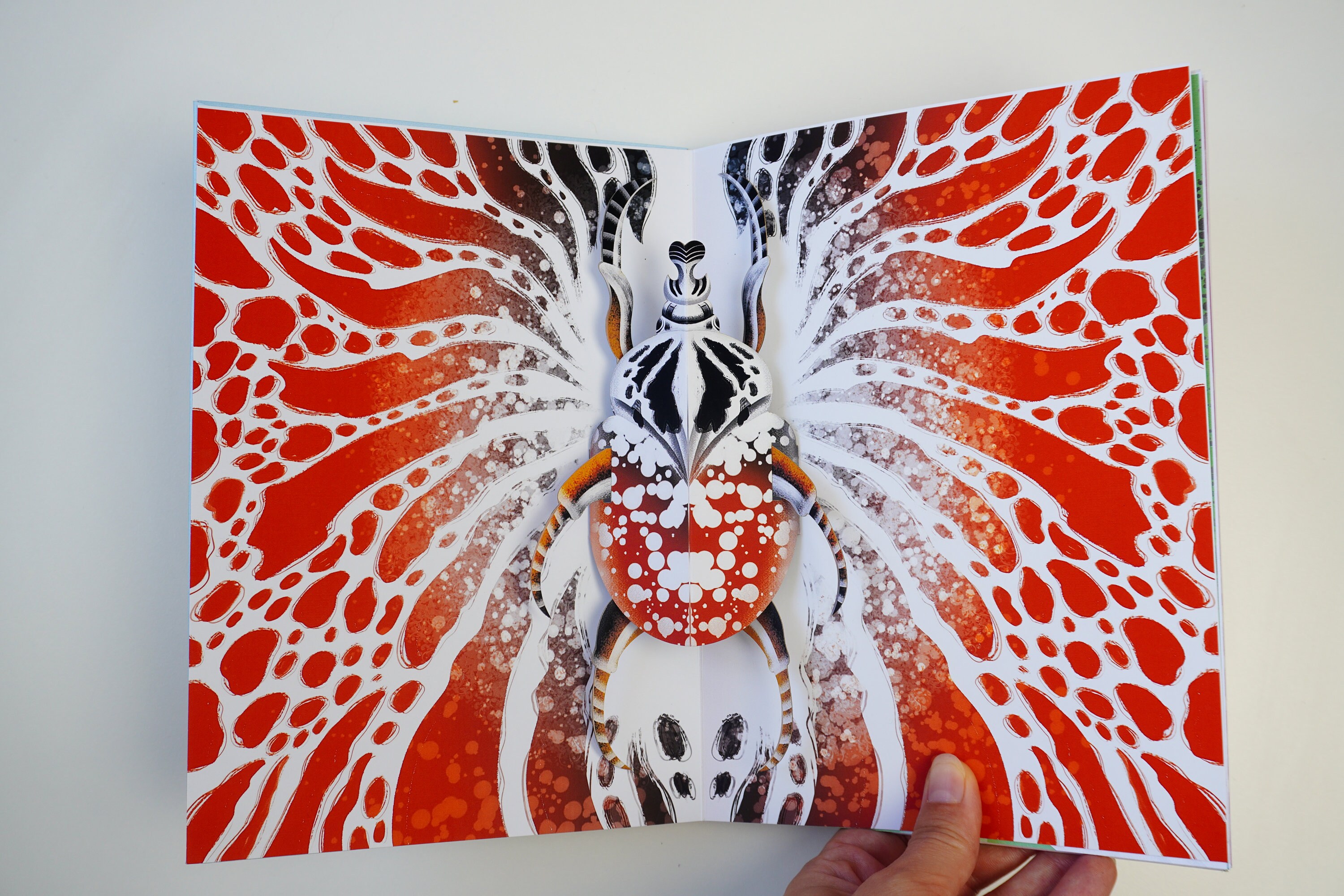 Insects DIY Pop-up Book, Printable Paper Craft, Digital Download - Etsy