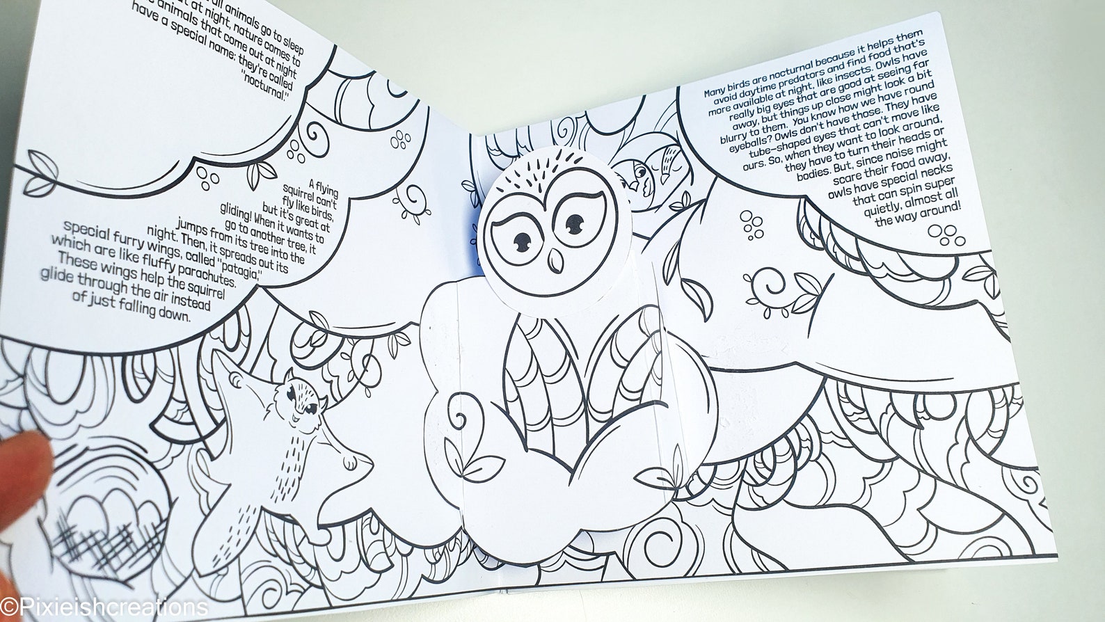 Night Animals Coloring Pop-up Book Creation Kit, Fun Coloring Kids ...