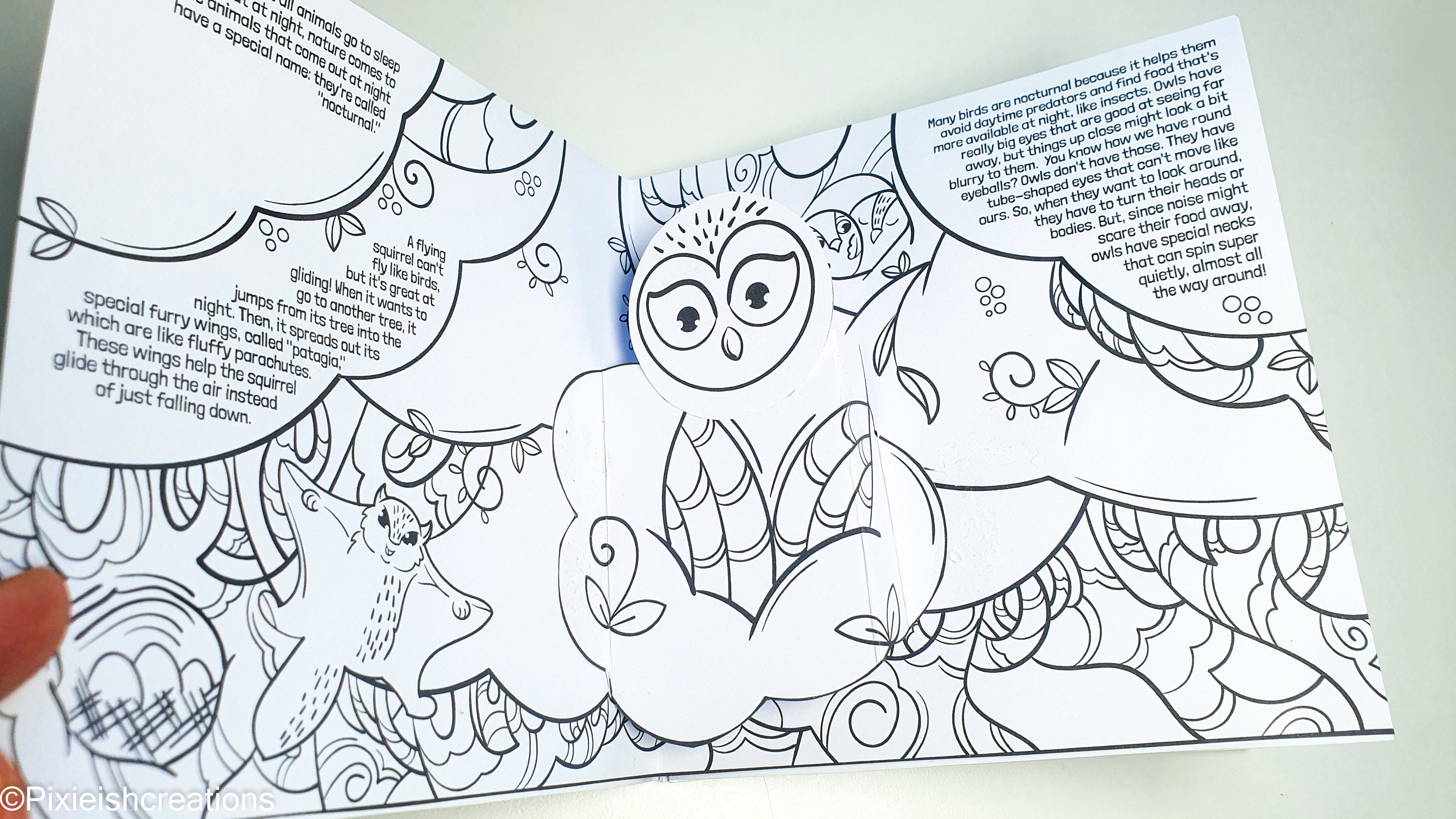 Night Animals Coloring Pop-up Book Creation Kit, Fun Coloring Kids ...