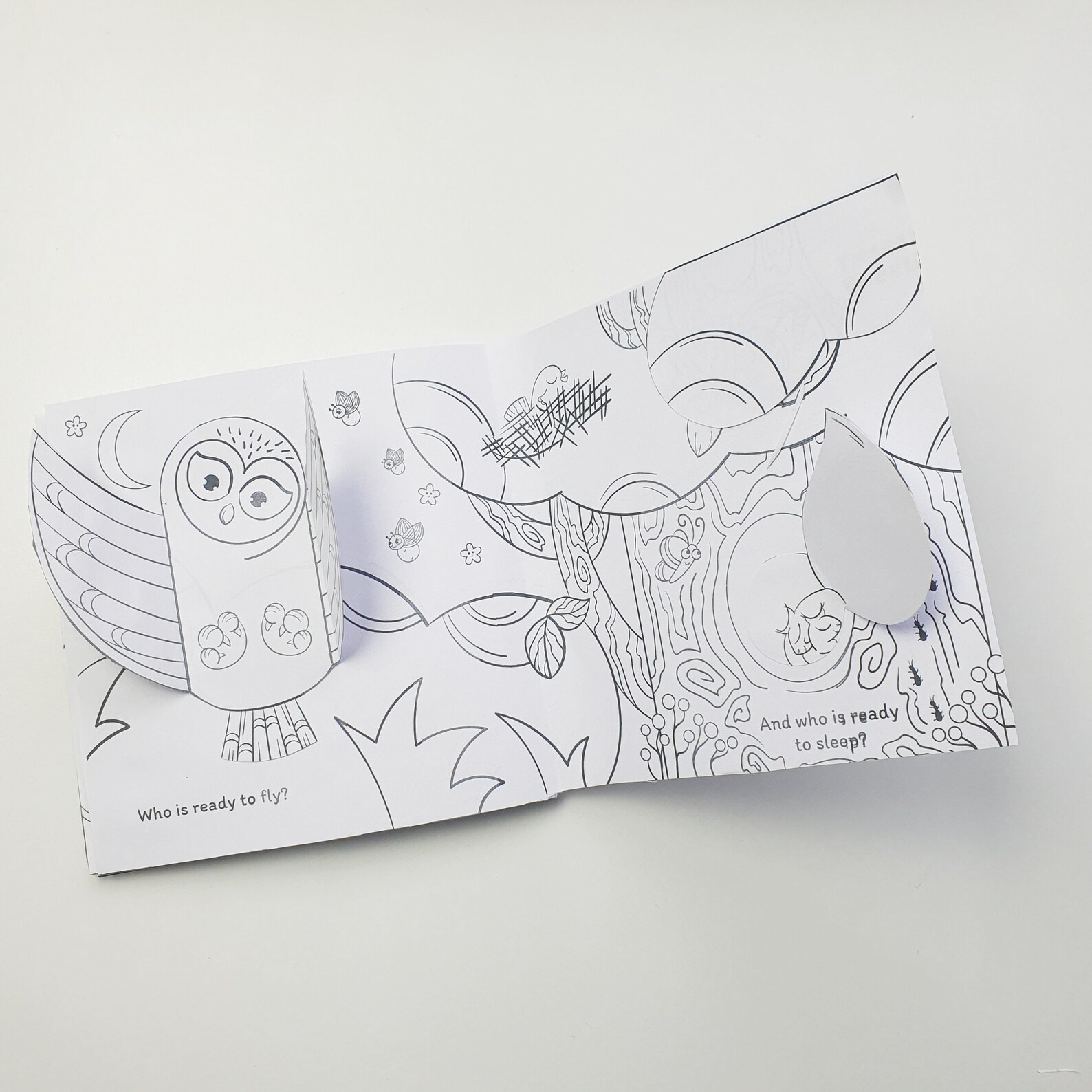 Lift the Flap DIY Coloring Book for Young Children, Forest Book ...