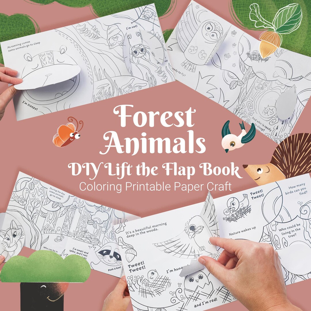 Lift the Flap DIY Coloring Book for Young Children, Forest Book ...