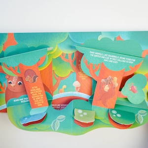 DIY Pop-up Book for Kids About Geography: Deserts, Grasslands ...