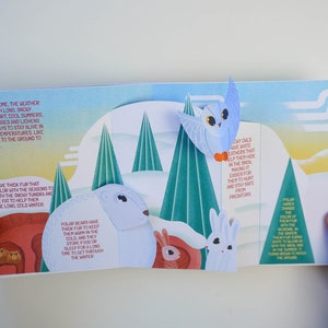 DIY Pop-up Book for Kids About Geography: Deserts, Grasslands ...