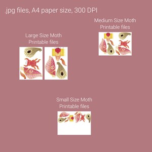 Pink Moth 3D Paper Craft Digital, DIY Downloadable Template, Printable ...