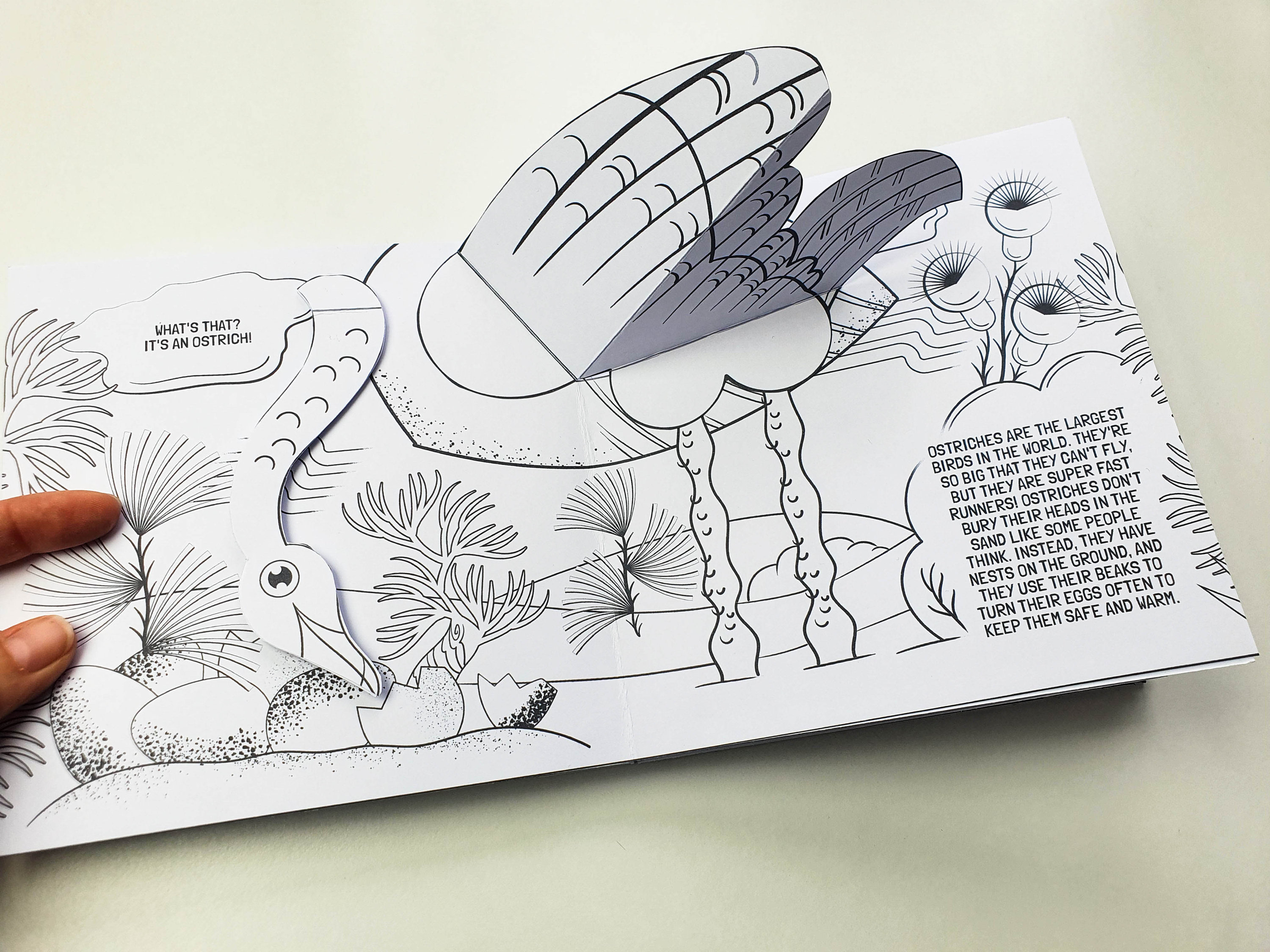 Birds DIY Coloring Pop-up Book Kit for Children, Educational Paper ...