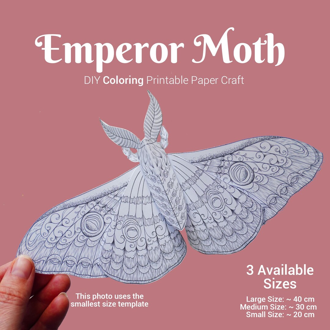 Emperor Moth DIY Coloring Paper Craft: 3D Origami (digital Download) - Etsy