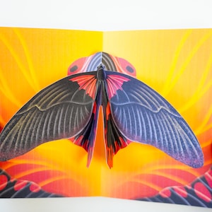 Butterfly DIY Pop-up Book: Paper Craft Kit (digital Download) - Etsy