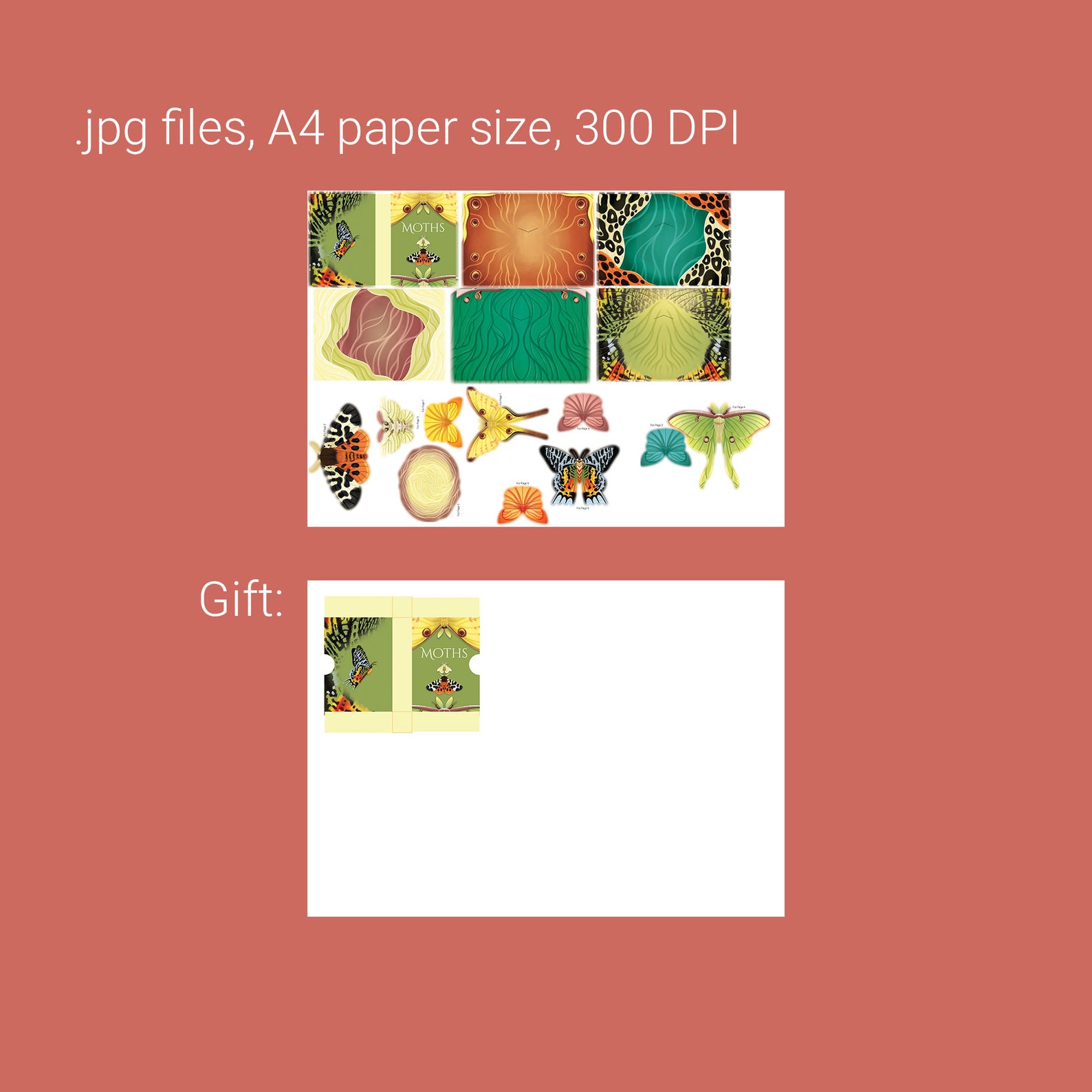 Moths Miniature Pop-up Book, Detailed Paper Craft for Adults, Make Your ...