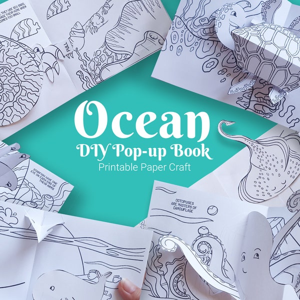 Pop up Coloring Book - Etsy