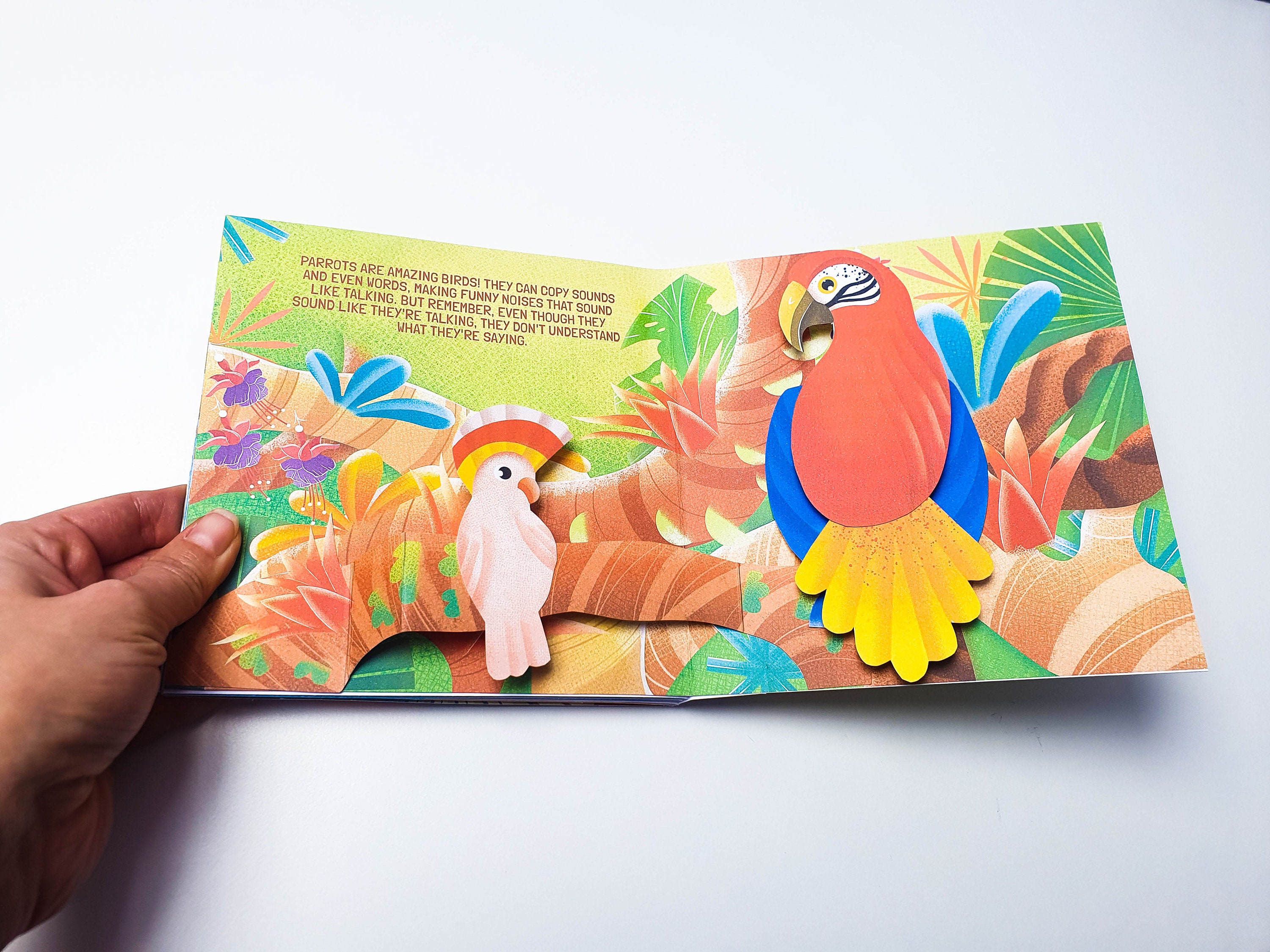 Birds Pop up Book Kit for Children, Educational DIY Paper Craft ...
