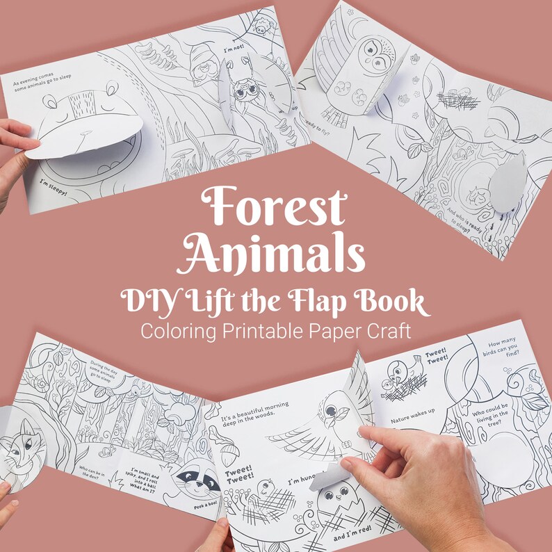 Lift the Flap DIY Coloring Book for Young Children, Forest Book ...
