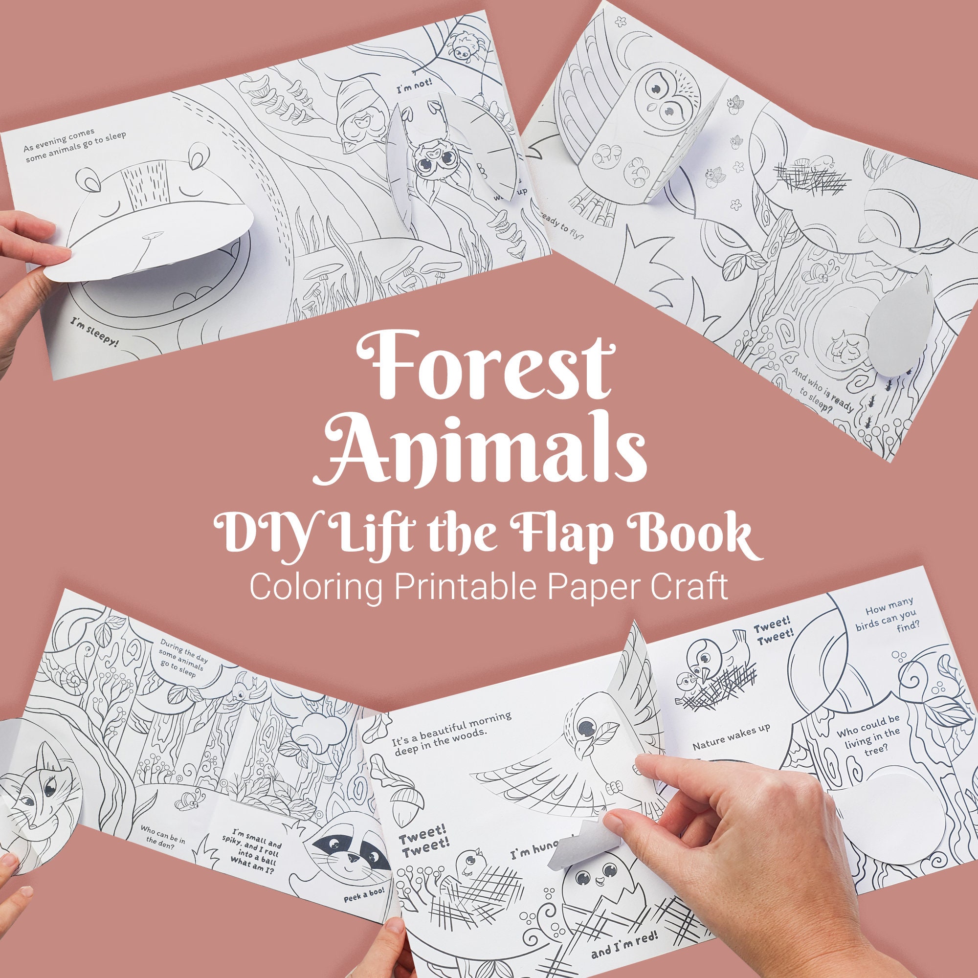 Lift the Flap DIY Coloring Book for Young Children, Forest Book ...