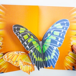 Butterfly DIY Pop-up Book: Paper Craft Kit (digital Download) - Etsy