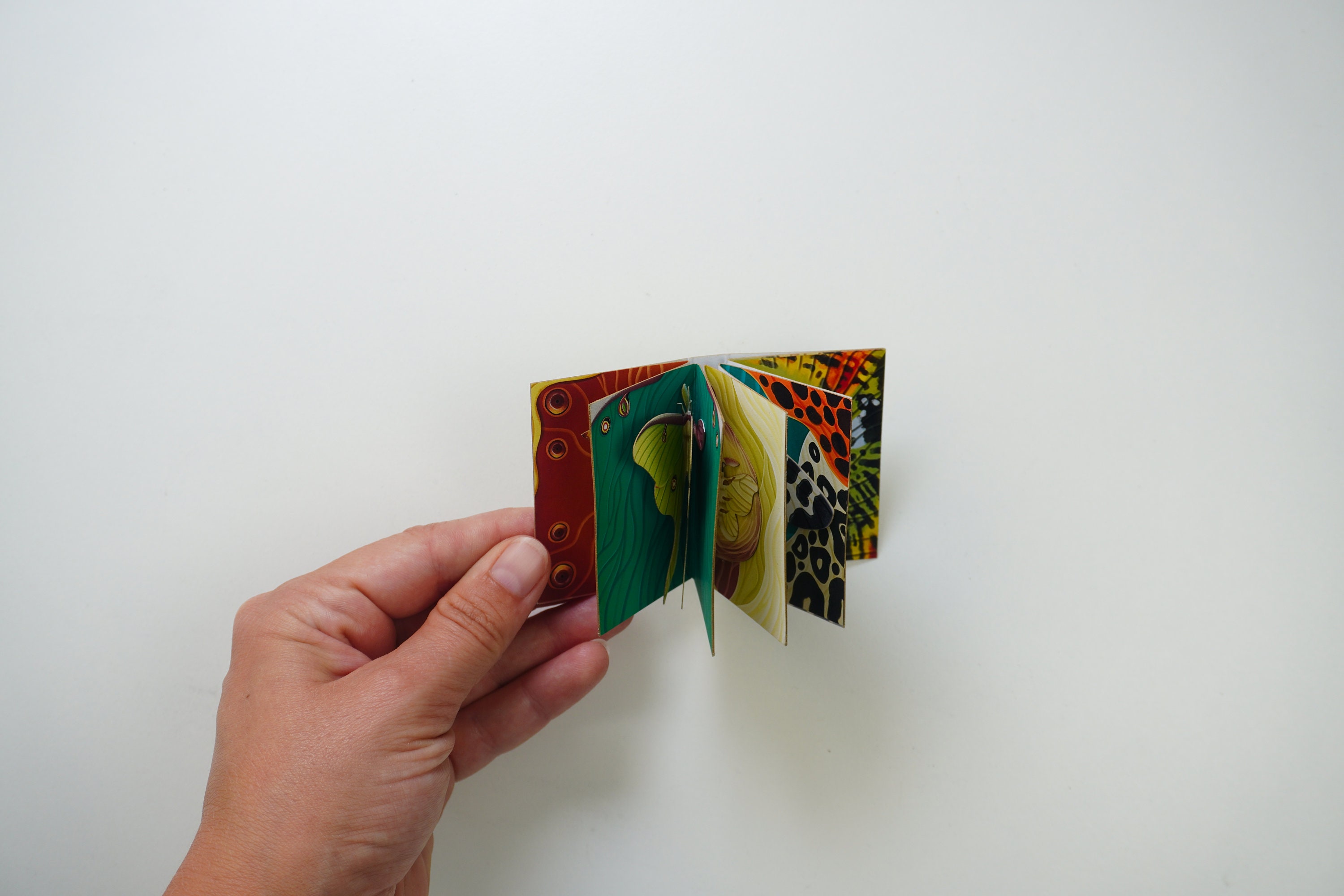 Moths Miniature Pop-up Book, Detailed Paper Craft for Adults, Make Your ...