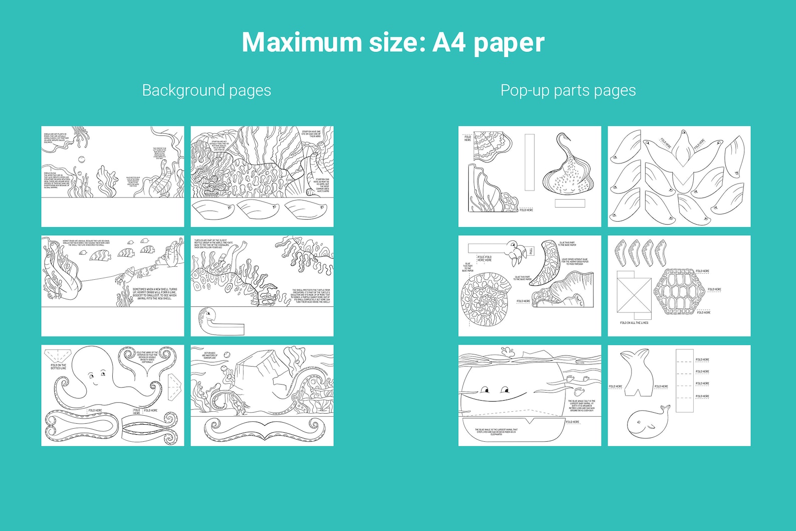 Ocean Animals Coloring Pop up Book Kit for Kids, Origami, Cut and Paste ...