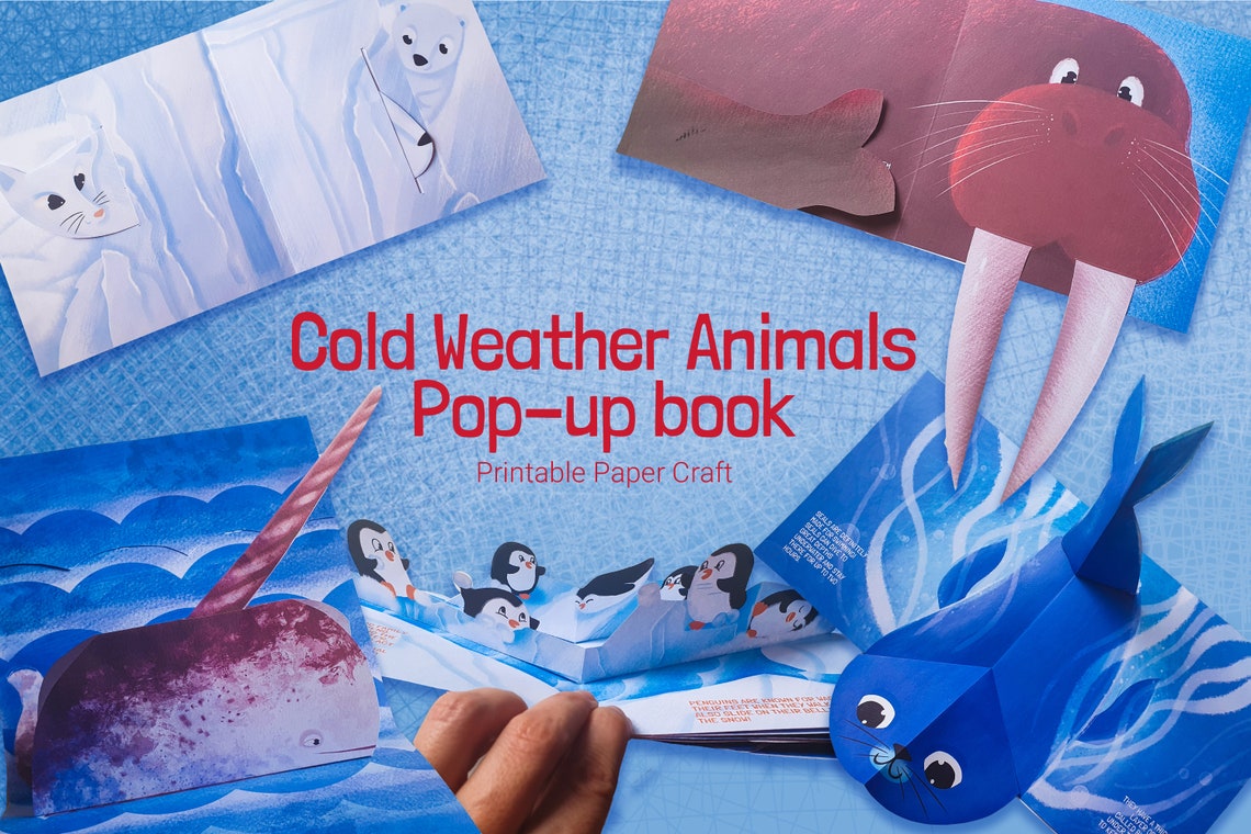 Winter Animals 3d Diy Pop-up Book for Kids Learn Cold Climate - Etsy UK