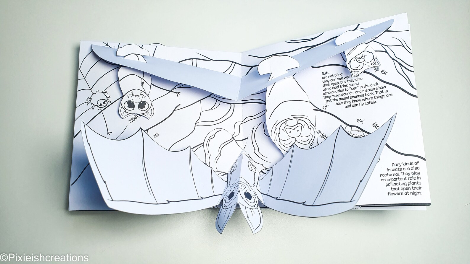 Night Animals Coloring Pop-up Book Creation Kit, Fun Coloring Kids ...