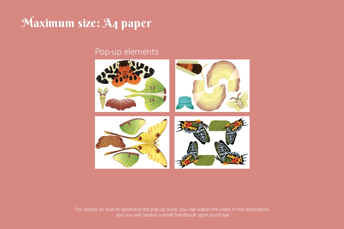 Moths DIY Pop up Book Creation Kit for Adults DIY Pop-up Book - Etsy