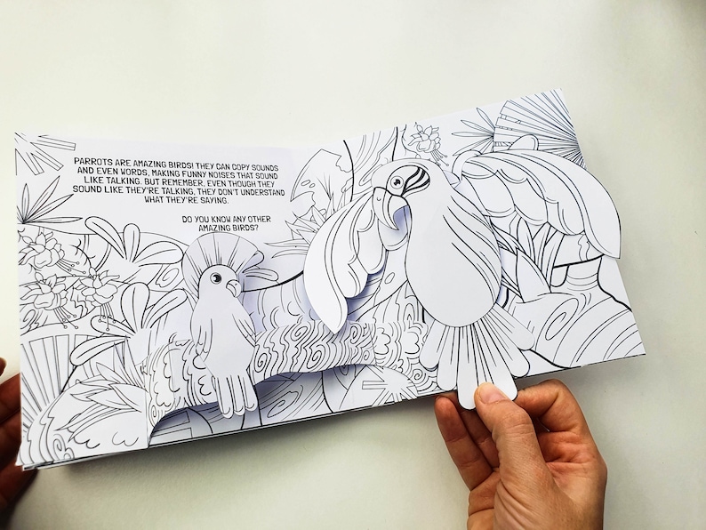 Birds DIY Coloring Pop-up Book Kit for Children, Educational Paper ...